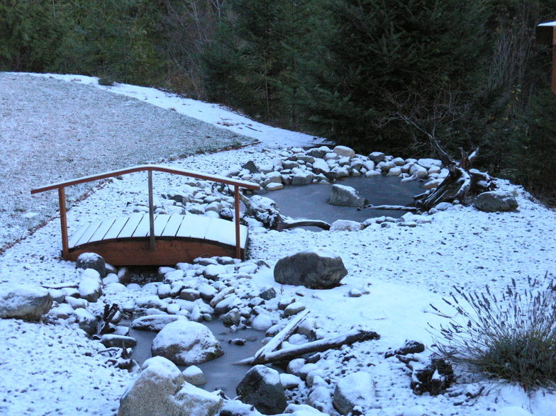 Sequim, WA : Ice and Snow visit the hills photo, picture, image ...