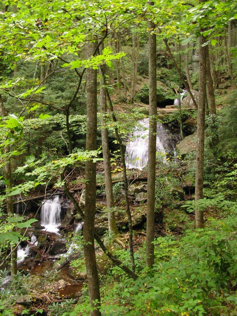 Helen, GA : View from Raven Cliffs Trail photo, picture, image (Georgia ...