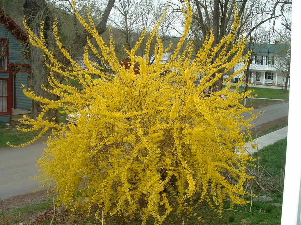 Monterey, KY : Taylor Street and Bridge Street photo, picture, image ...