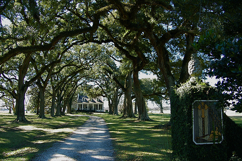 Rosedale, LA : Trinity Plantation photo, picture, image (Louisiana) at ...