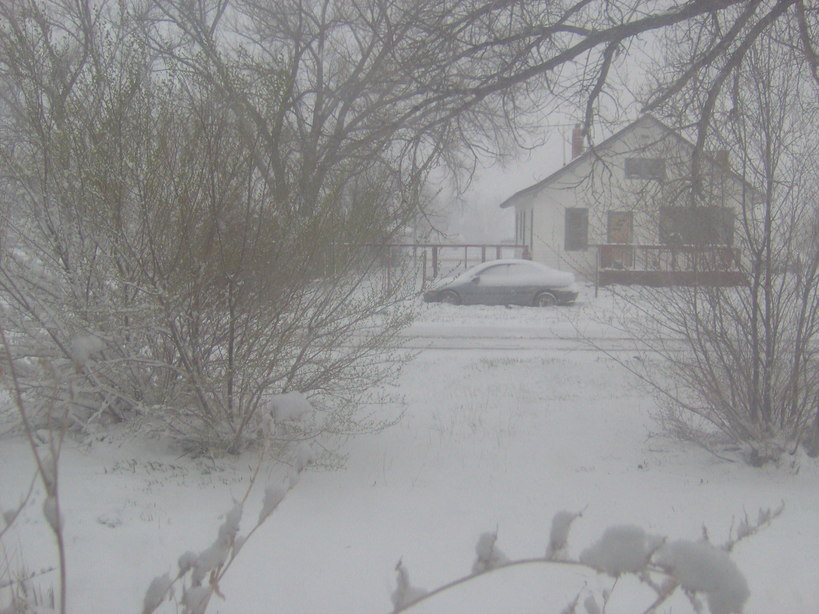 Wibaux, MT : Springtime in Wibaux - taken May 2005 photo, picture ...