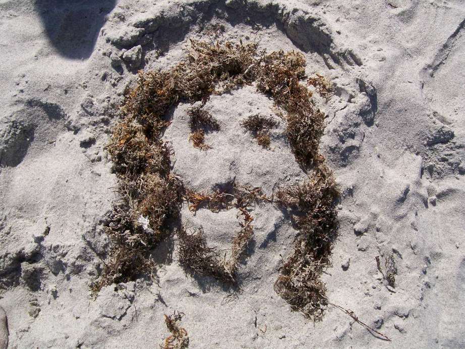Cocoa Beach, FL : jesus at the beach photo, picture, image (Florida) at ...