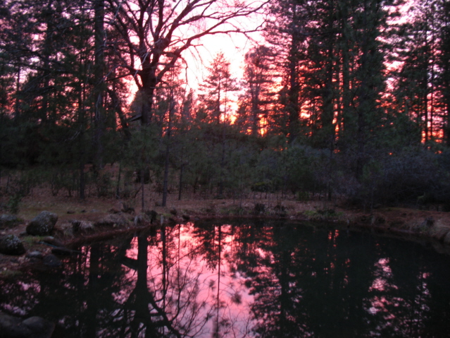 Manton, CA : Sunset over the pond photo, picture, image (California) at ...