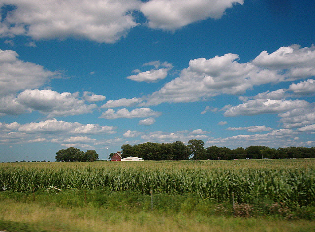 Cullom, IL : wide open countryside in Cullom, IL photo, picture, image ...