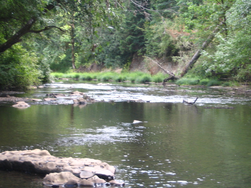Vernonia, OR : The Nehalem River photo, picture, image (Oregon) at city ...