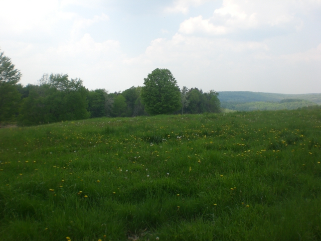 Troupsburg, NY : Miller Hill photo, picture, image (New York) at city ...