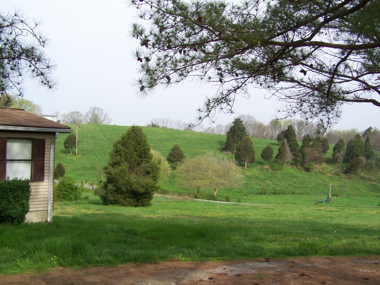 Niota, TN : My Future Home photo, picture, image (Tennessee) at city ...