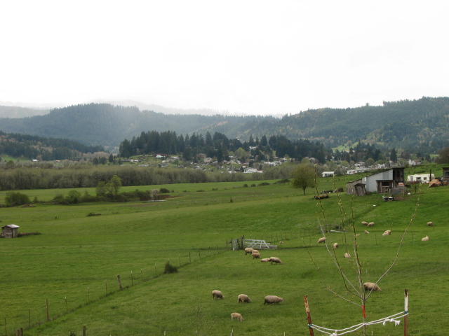 Yoncalla, OR : view of Yoncalla from a distance photo, picture, image ...