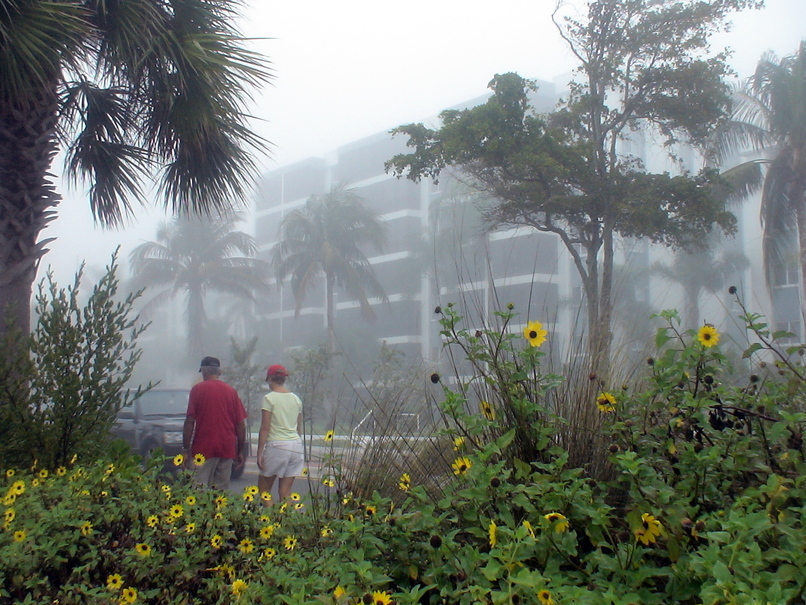 Siesta Key, FL : Siesta Key. Very early morning. Fog. photo, picture ...