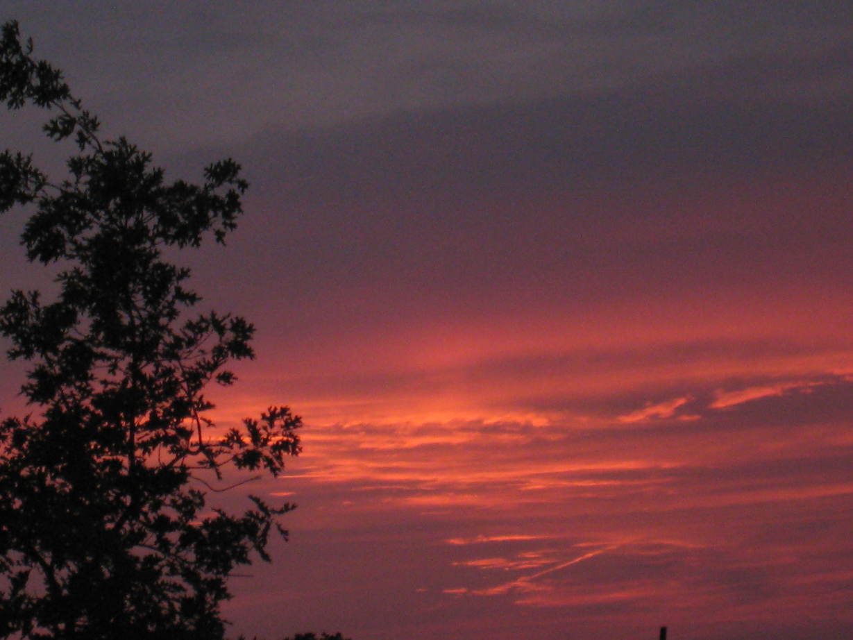 Nevada, TX : Nevada Sunset photo, picture, image (Texas) at city-data.com