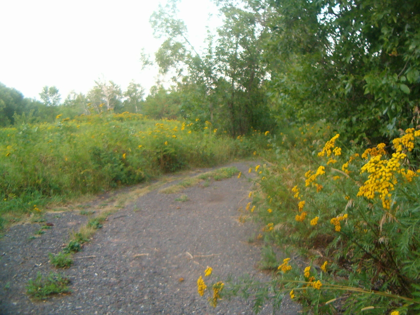 Mason, WI : Driveway in Mason, WI photo, picture, image (Wisconsin) at ...