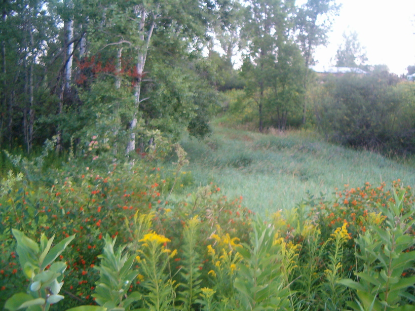 Mason, WI : view towards town from the Mason park photo, picture, image ...