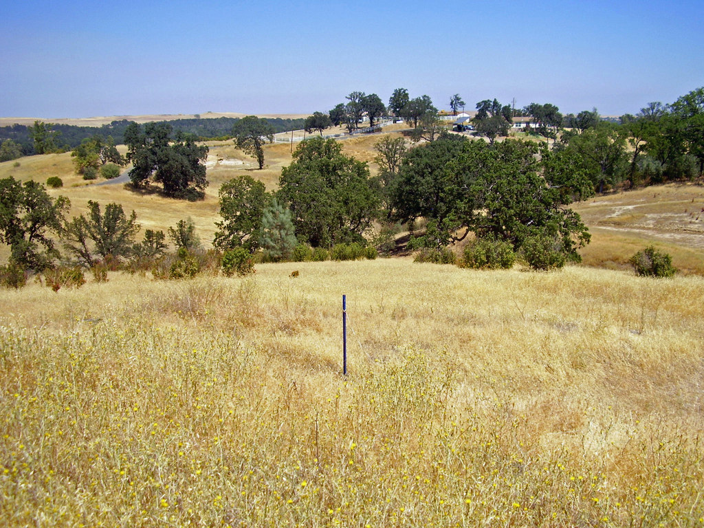 Rancho Tehama Reserve, CA : 251 Buckboard Road photo, picture, image ...