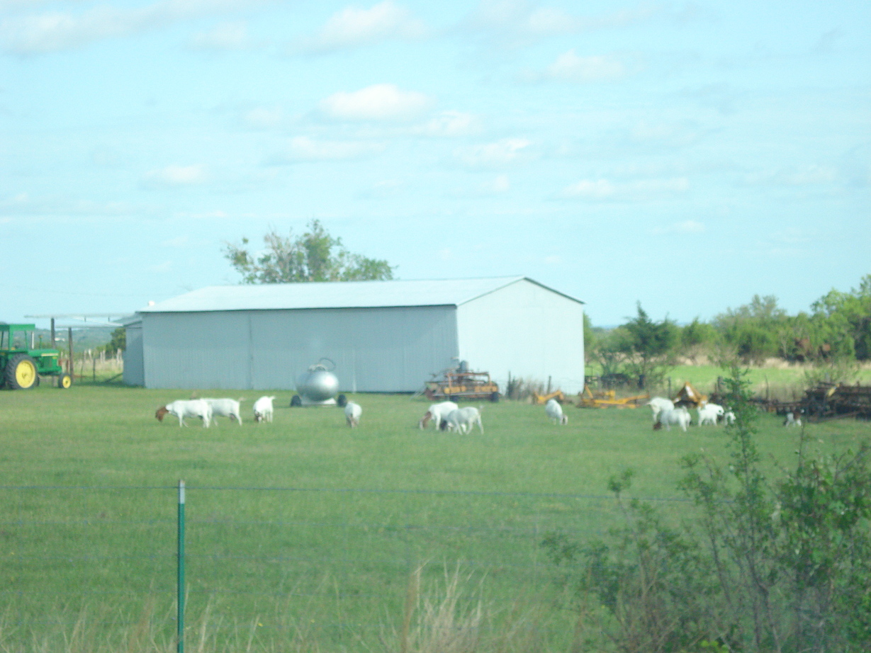 Kempner, TX : Kempner Texas Hwy 190 scenery photo, picture, image ...