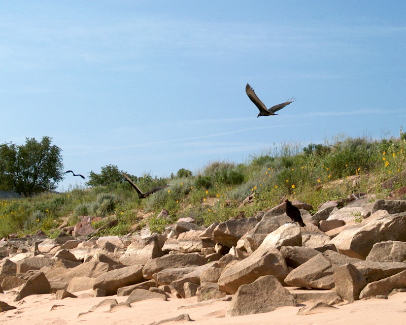 Mangum, OK : Mangum Whitehouse B&B photo, picture, image (Oklahoma) at ...