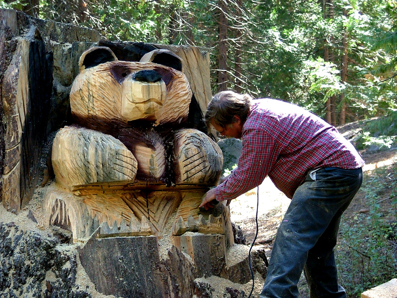 Shaver Lake, CA : Stump Carving photo, picture, image (California) at ...