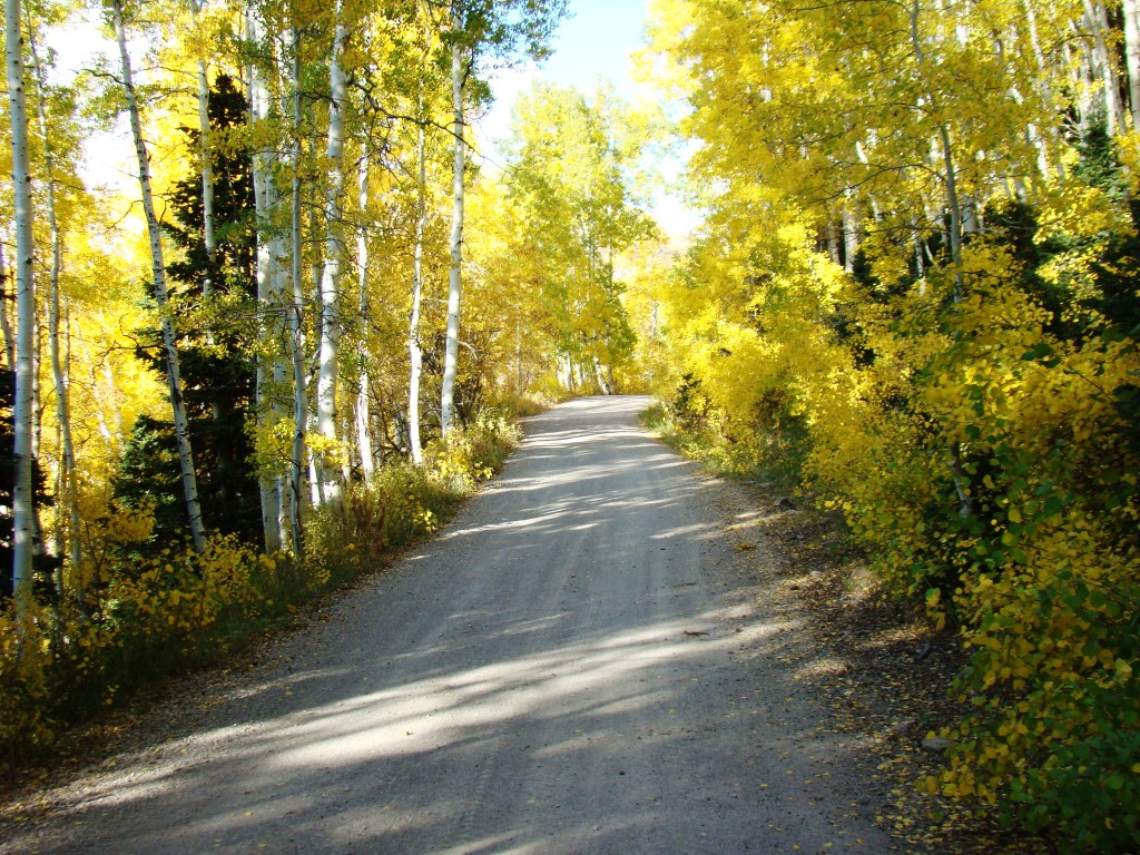 Spring City, UT : Spring City photo, picture, image (Utah) at city-data.com