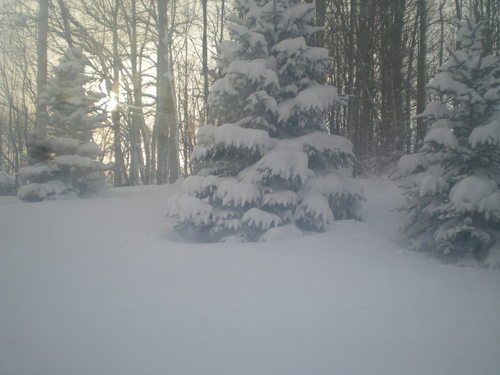 Cato, NY : After a lake effect snow storm! photo, picture, image (New ...