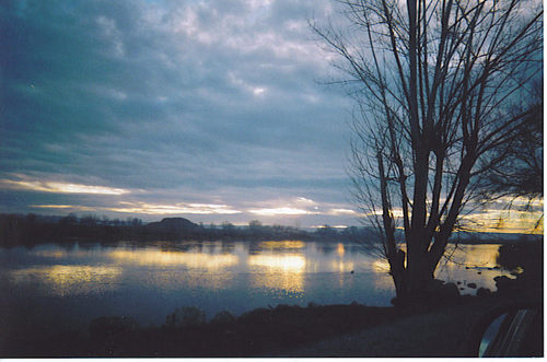 Marsing, ID : Evening next to the river in island park on Marsing side ...