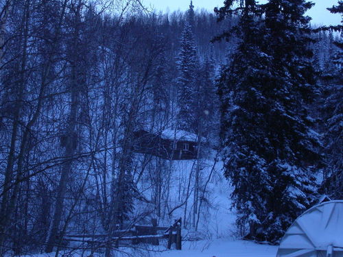 Hughes, AK : Cabin in the woods, toward the bluff of the Koyukuk river ...
