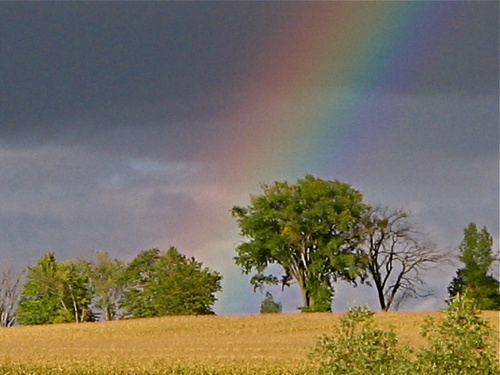 Kiel, WI : Rainbow in city Limits photo, picture, image (Wisconsin) at ...