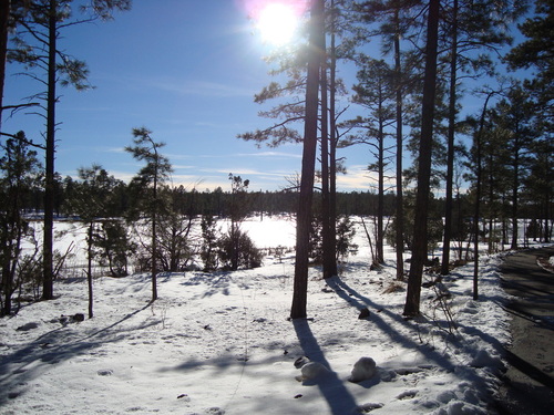 Pinetop-Lakeside, AZ : woodland lake photo, picture, image (Arizona) at ...