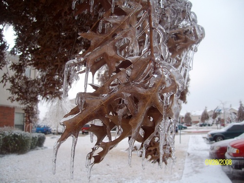 Springdale, AR : Previous Ice Storm photo, picture, image (Arkansas) at ...
