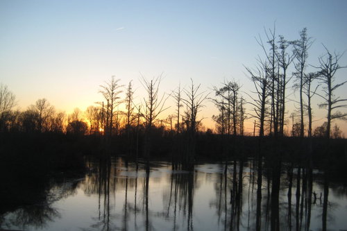 Coldwater, MS : Coldwater Bottom photo, picture, image (Mississippi) at ...
