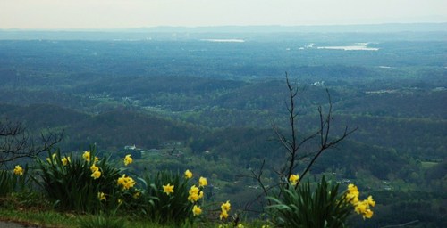 Signal Mountain, TN : Signal Mountain photo, picture, image (Tennessee ...