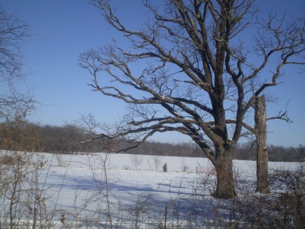 Basehor, KS : Winter in Basehor photo, picture, image (Kansas) at city ...