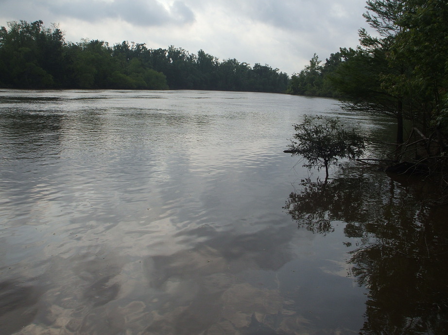 Evadale, TX : Neches River photo, picture, image (Texas) at city-data.com
