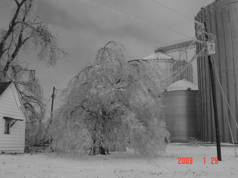 Clinton, KY : 2009 Ice Storm photo, picture, image (Kentucky) at city ...