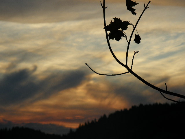 Yoncalla, OR : sunset in yoncalla photo, picture, image (Oregon) at ...