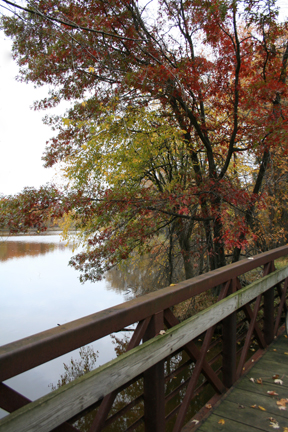Stevens Point, WI : Green Circle Trail photo, picture, image (Wisconsin ...