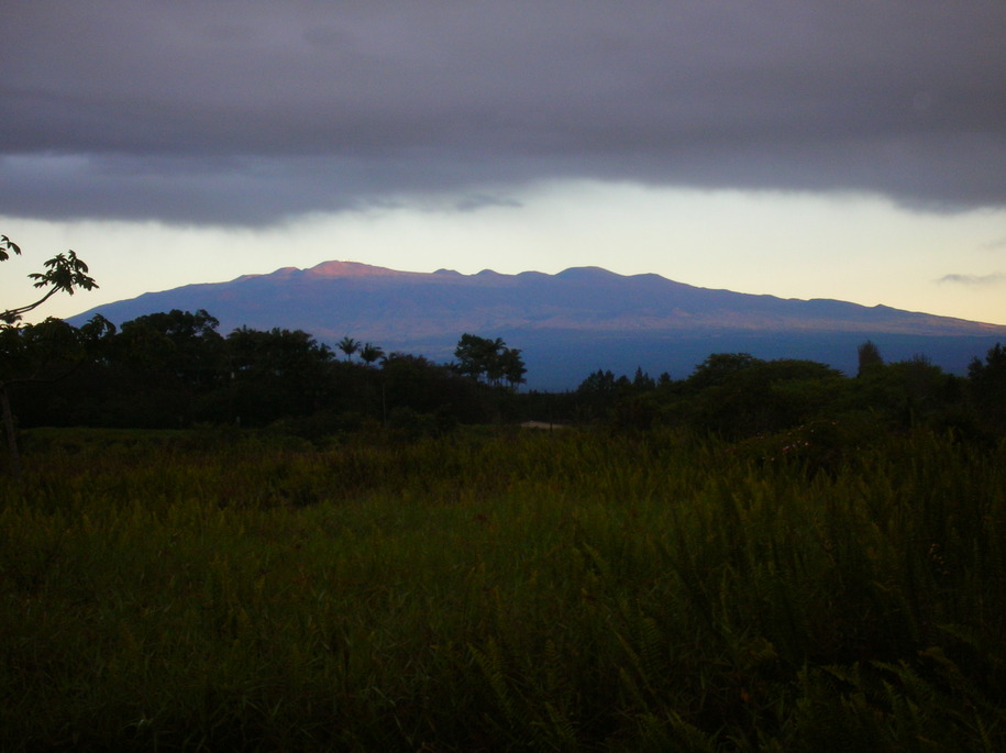 Keaau, HI : mauna loa from ainaloa going south photo, picture, image ...