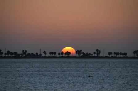 Dunedin, FL : Beautiful Dunedin Sunset...looking out at Honeymoon ...