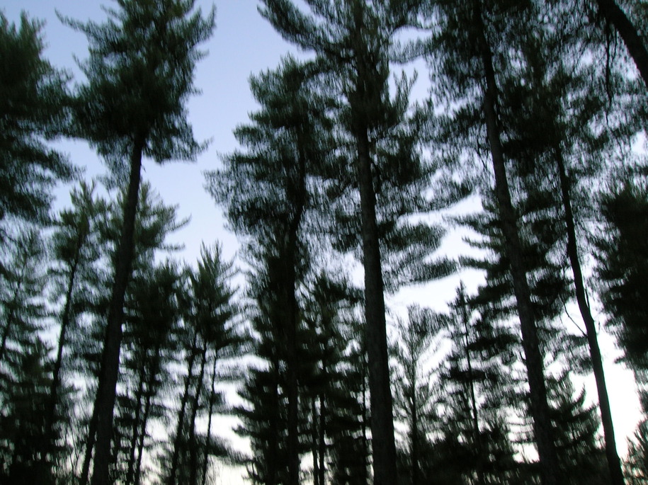 Hanover, ME : Hanover Pines, a green community 5, 6 , 7 acres home ...