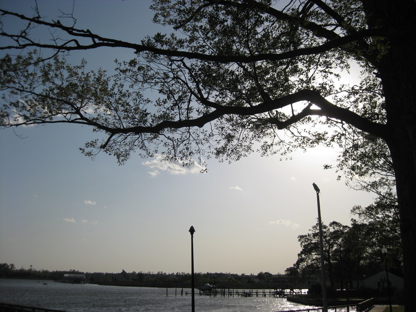 Jacksonville, NC : Wilson's Bay, Jacksonville, NC photo, picture, image ...