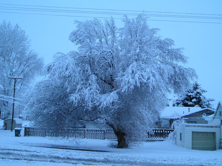 Dillon, MT : Spring Snowstorm photo, picture, image (Montana) at city ...