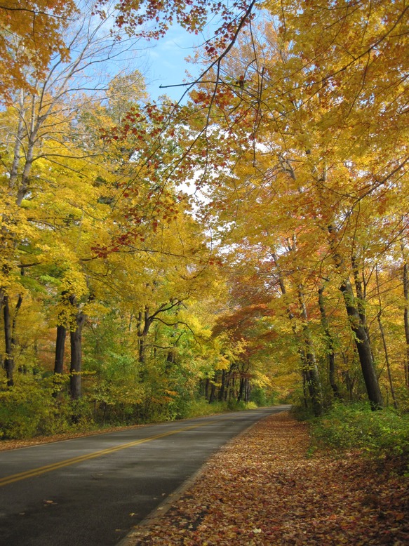 Erie, PA : Fall Foilage photo, picture, image (Pennsylvania) at city ...