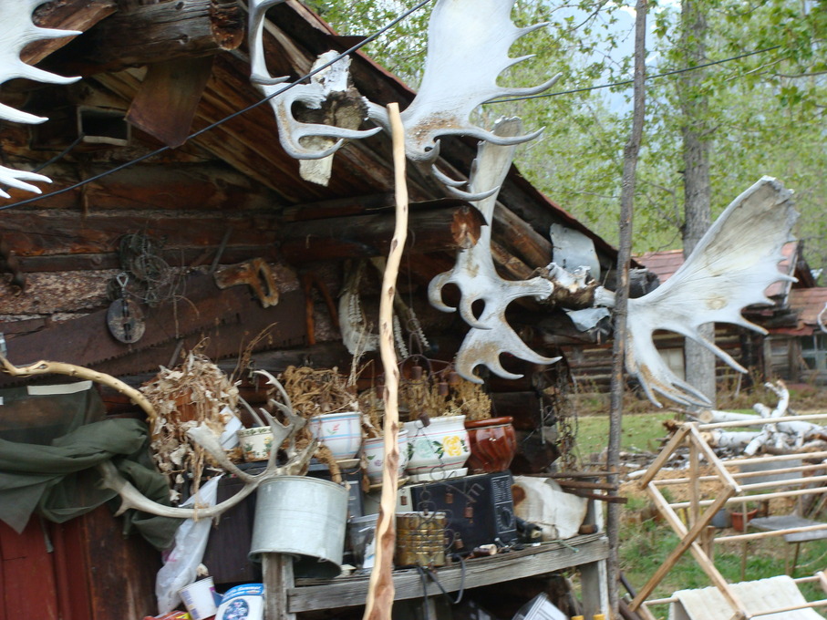 Wiseman, AK : The Hunter and Trapper of Wiseman photo, picture, image ...