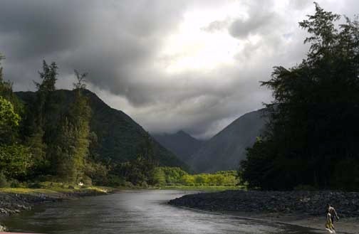 Kapaau, HI : Waimanu Valley photo, picture, image (Hawaii) at city-data.com