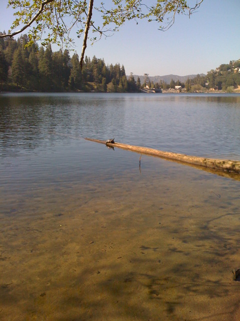 Crestline, CA : "Winter Storm" rim above HWY 118 Crestline, CA photo ...
