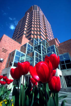 Portland, OR : Koin Center photo, picture, image (Oregon) at city-data.com