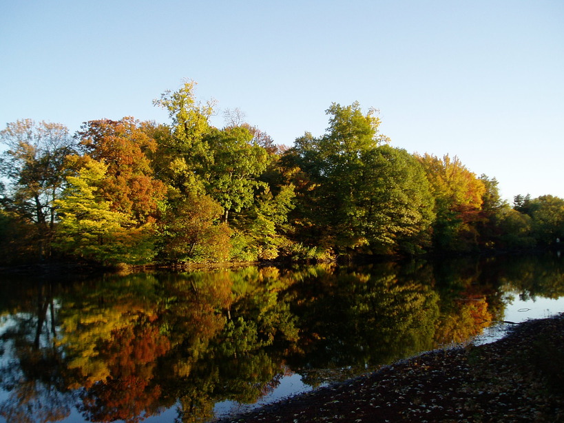 Little Falls, NJ : The Island on the Passaic River photo, picture ...