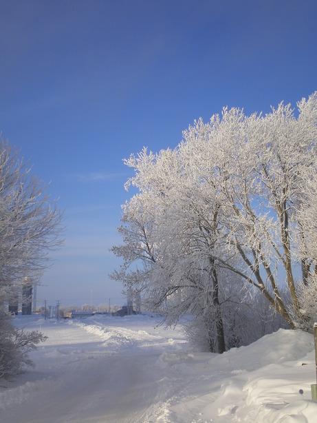 Albert City, IA : Winter Lane photo, picture, image (Iowa) at city-data.com