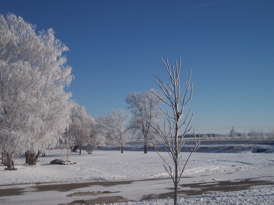 Oakes, ND : Beautiful frosty winter day December 2007 photo, picture ...