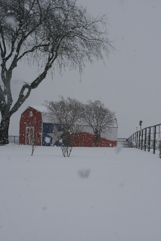 Ovilla, TX : Snow day in Ovilla Feb 11 2010 photo, picture, image ...