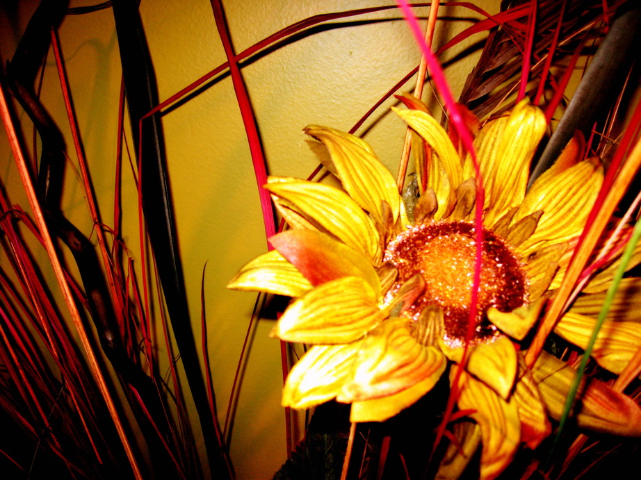 Racine, WI : The Hidden Beauty of Racine photo, picture, image ...