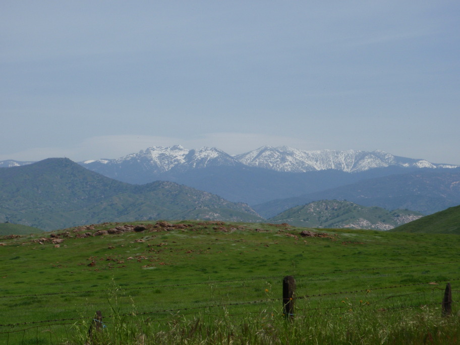 Springville, CA : Snowcapped Sierra View with Wildflowers, Springville ...